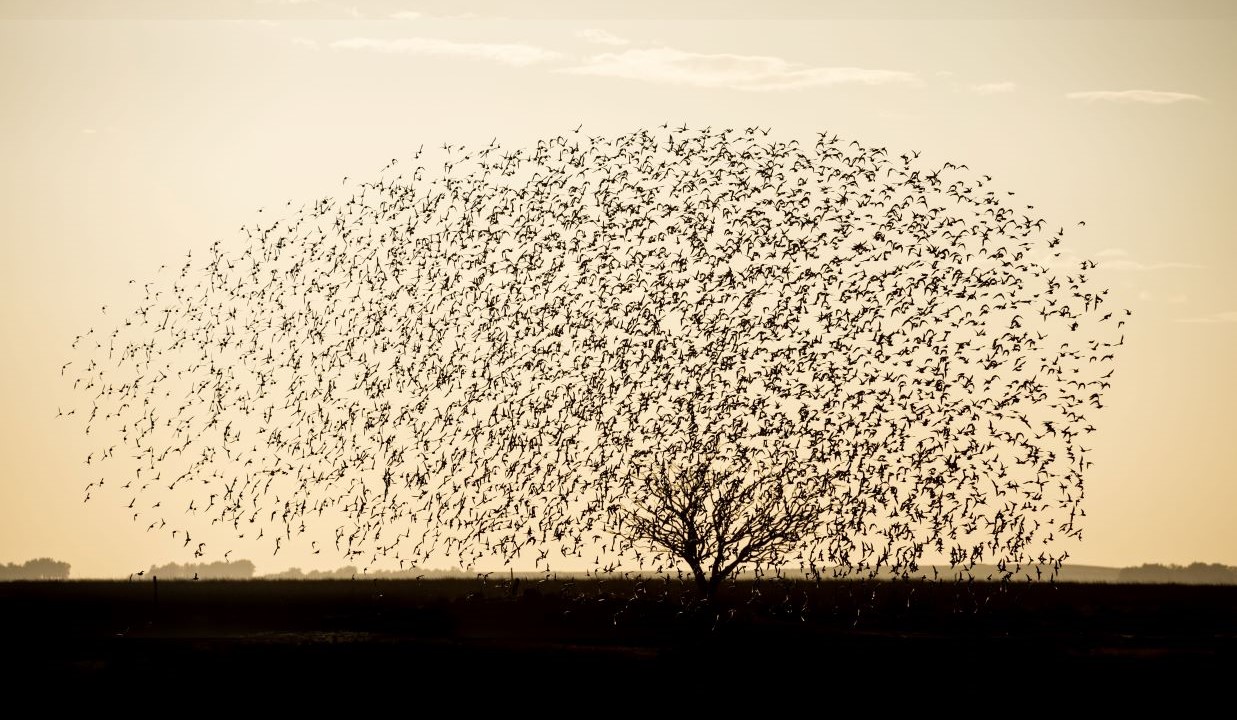 Home Page | Hitit | Airline & Travel IT Solutions